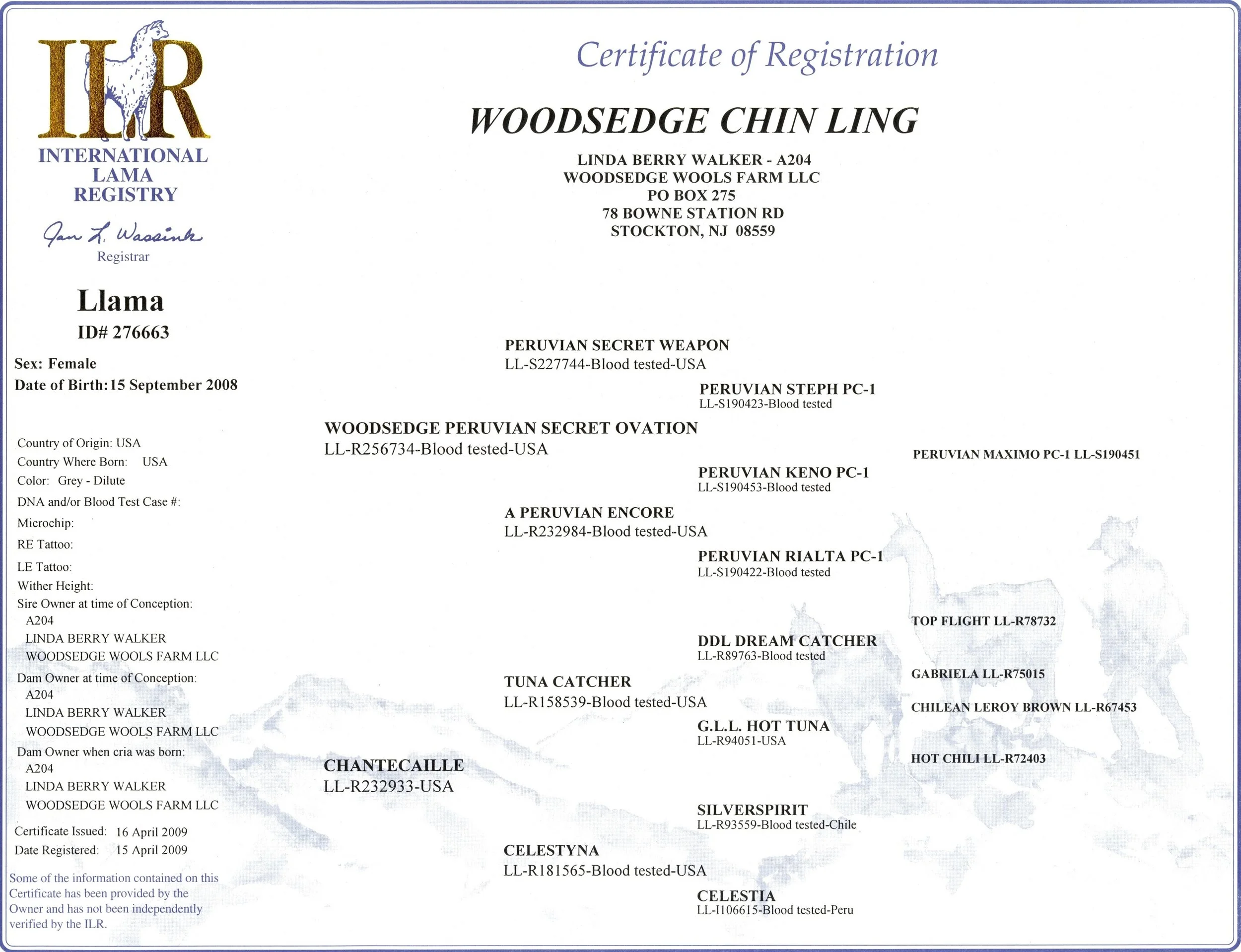 WoodsEdge Chin Ling — WoodsEdge Farm