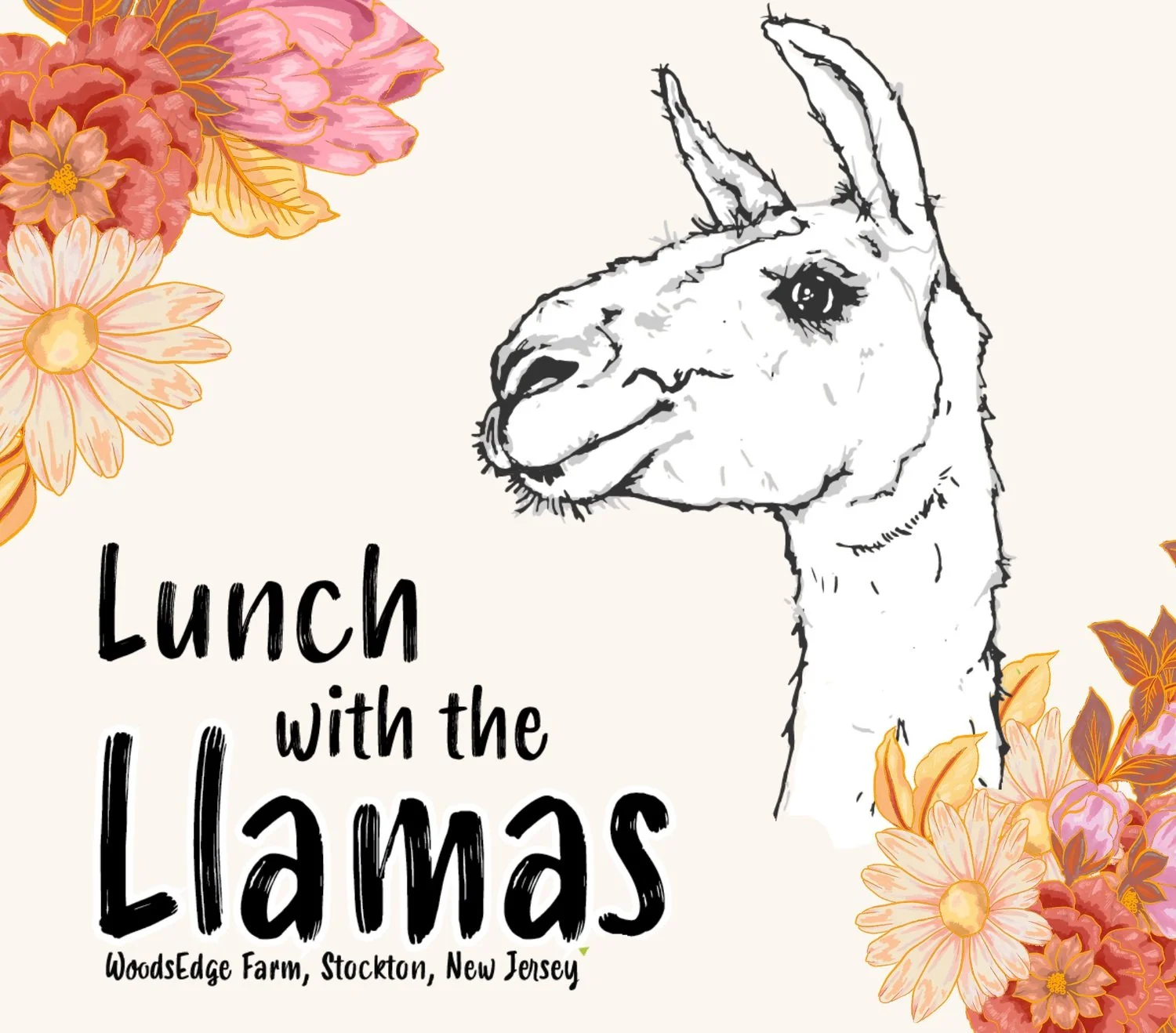 Lunch with the Llamas — WoodsEdge Farm