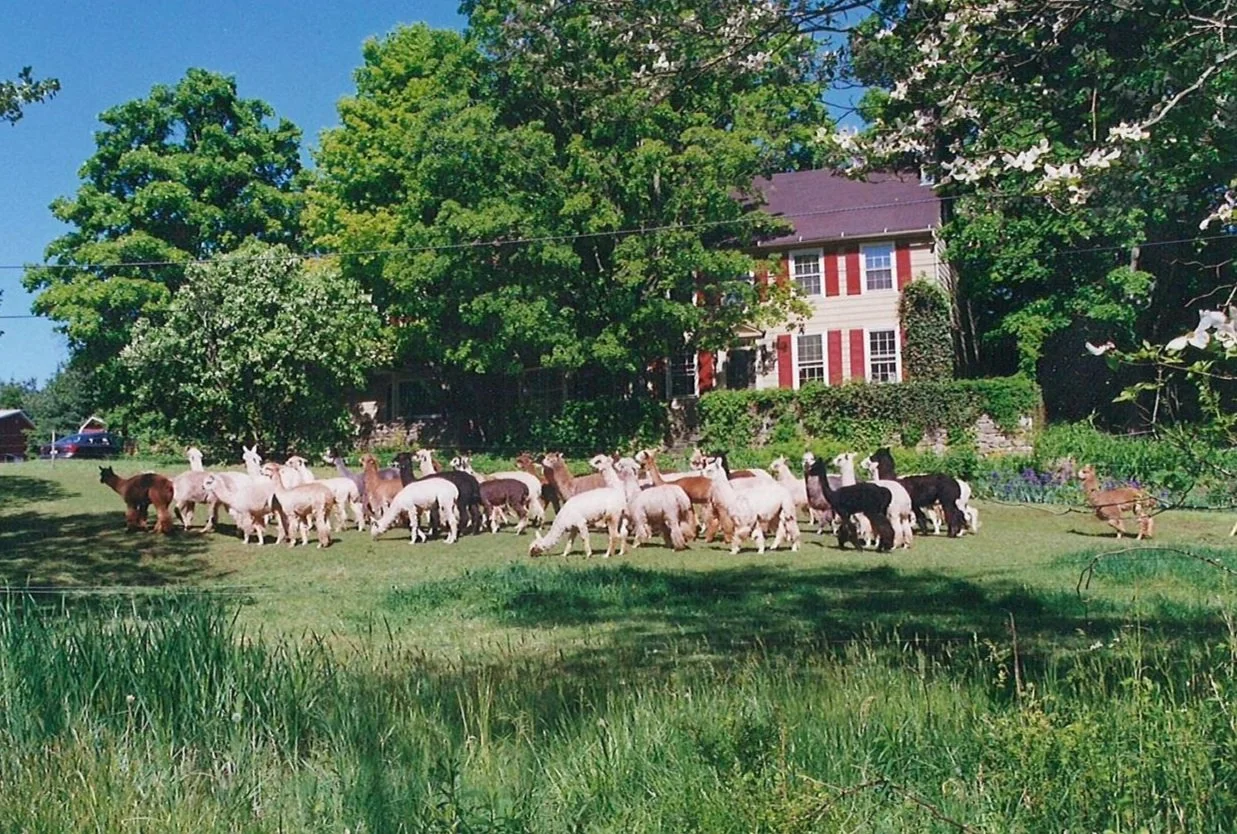 Farm Consulting — WoodsEdge Farm