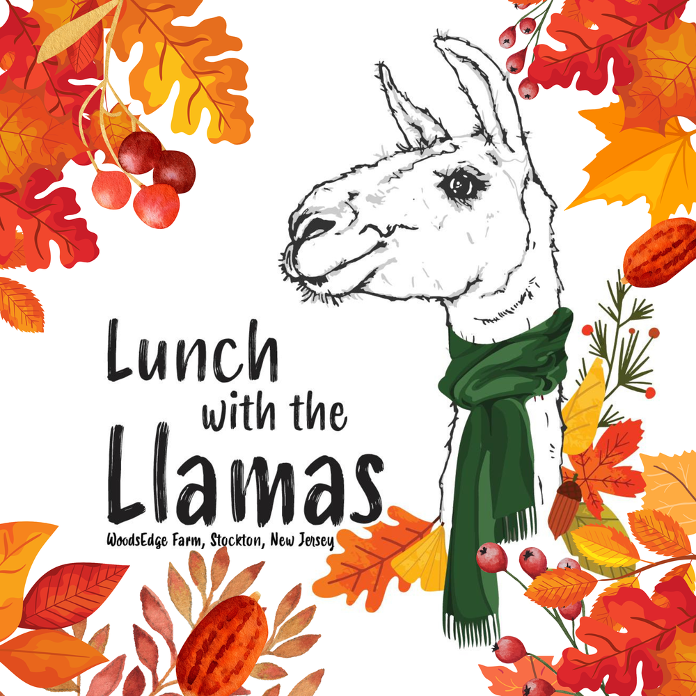 Lunch with the Llamas — WoodsEdge Farm
