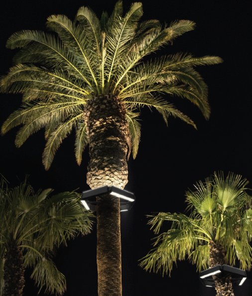 Tree Light System — Teslyte