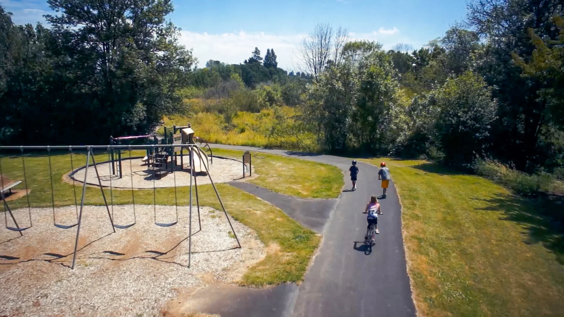 Increasing Accessibility to Our Community Assets — Tree for All