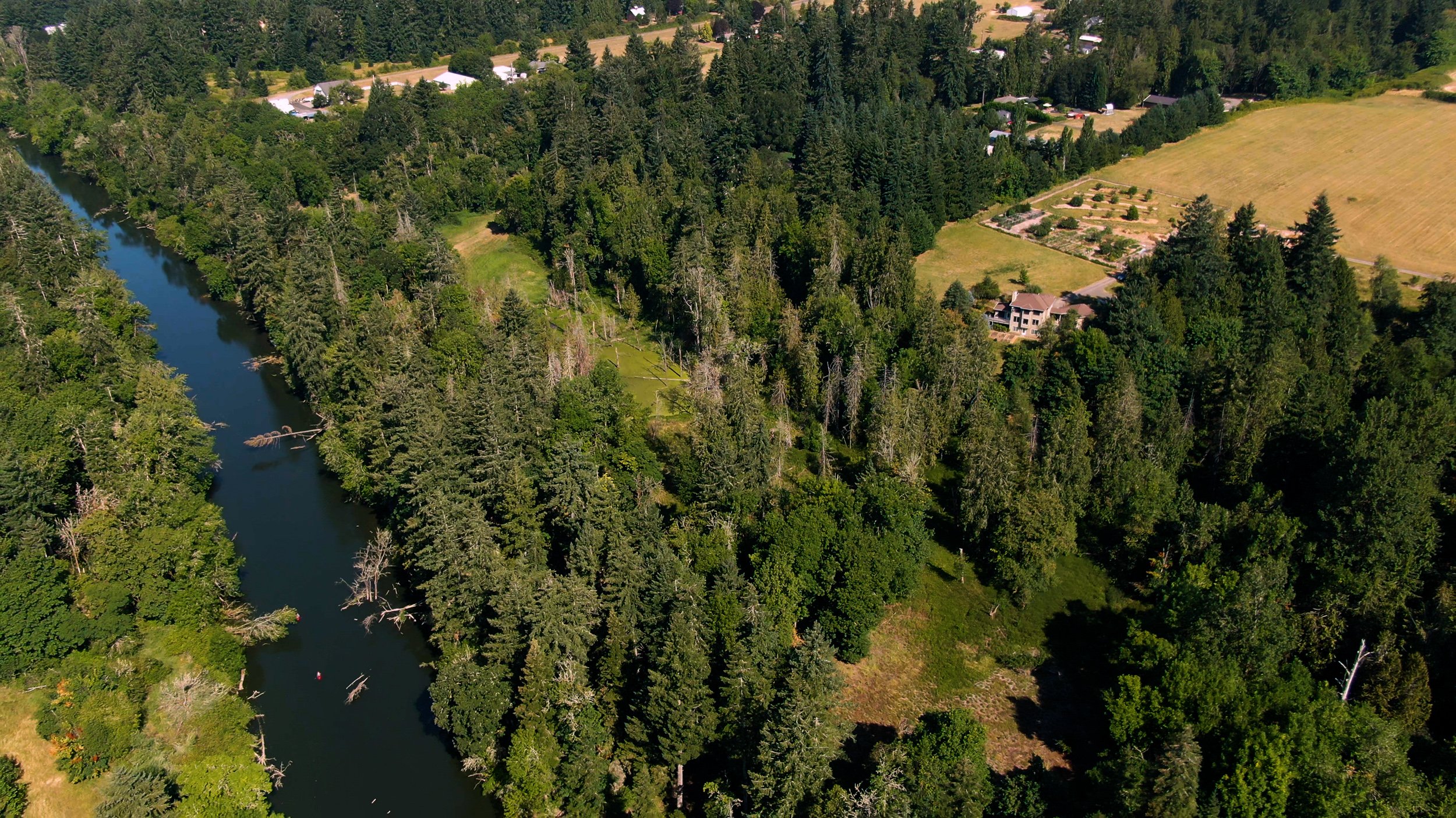 Bankston Family Nature Preserve Case Study — Tree for All