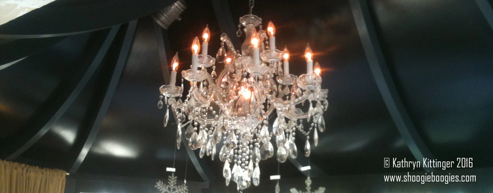 The Garden Room Cafe' at Shoogie Boogies - Photos