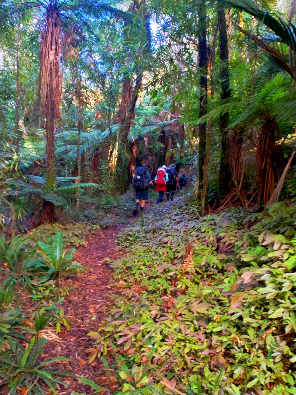 Wanganui Tramping Club