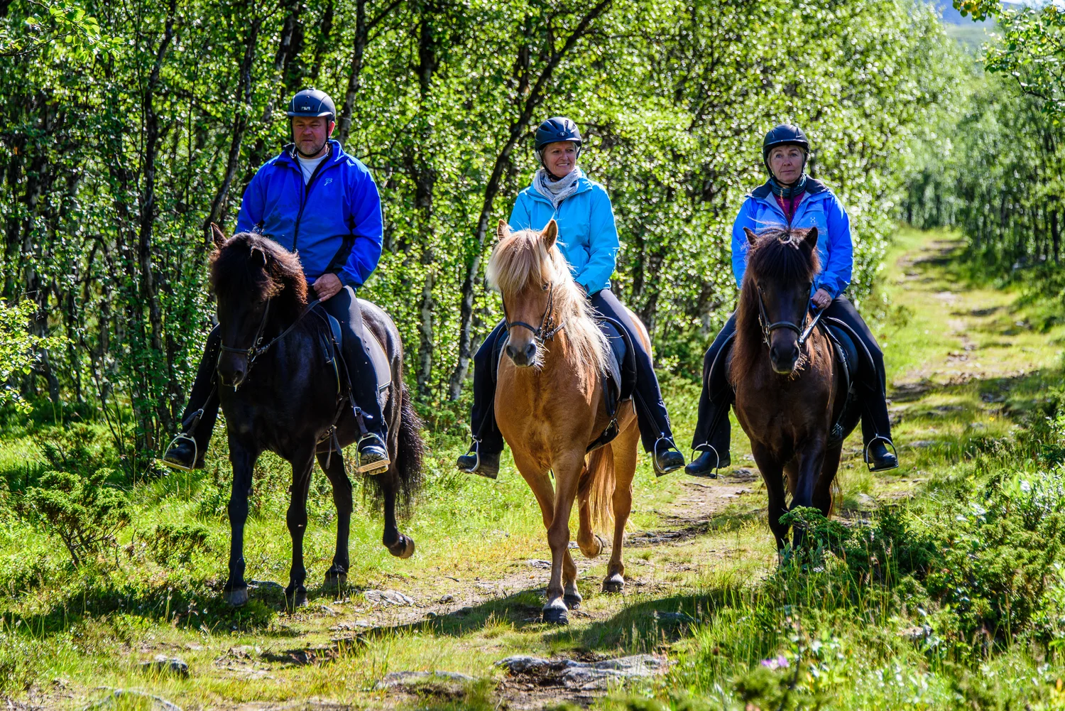 DALSETERSTALLEN - rideturer i fjellet og undervisning på bane — DALSETER