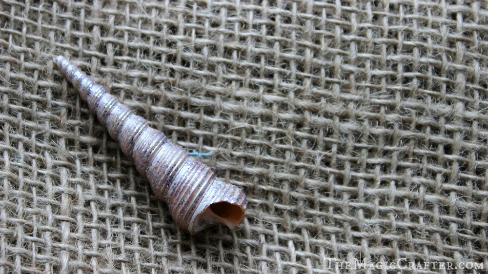 How to Paint Seashells - It's so easy!! — The Magic Crafter