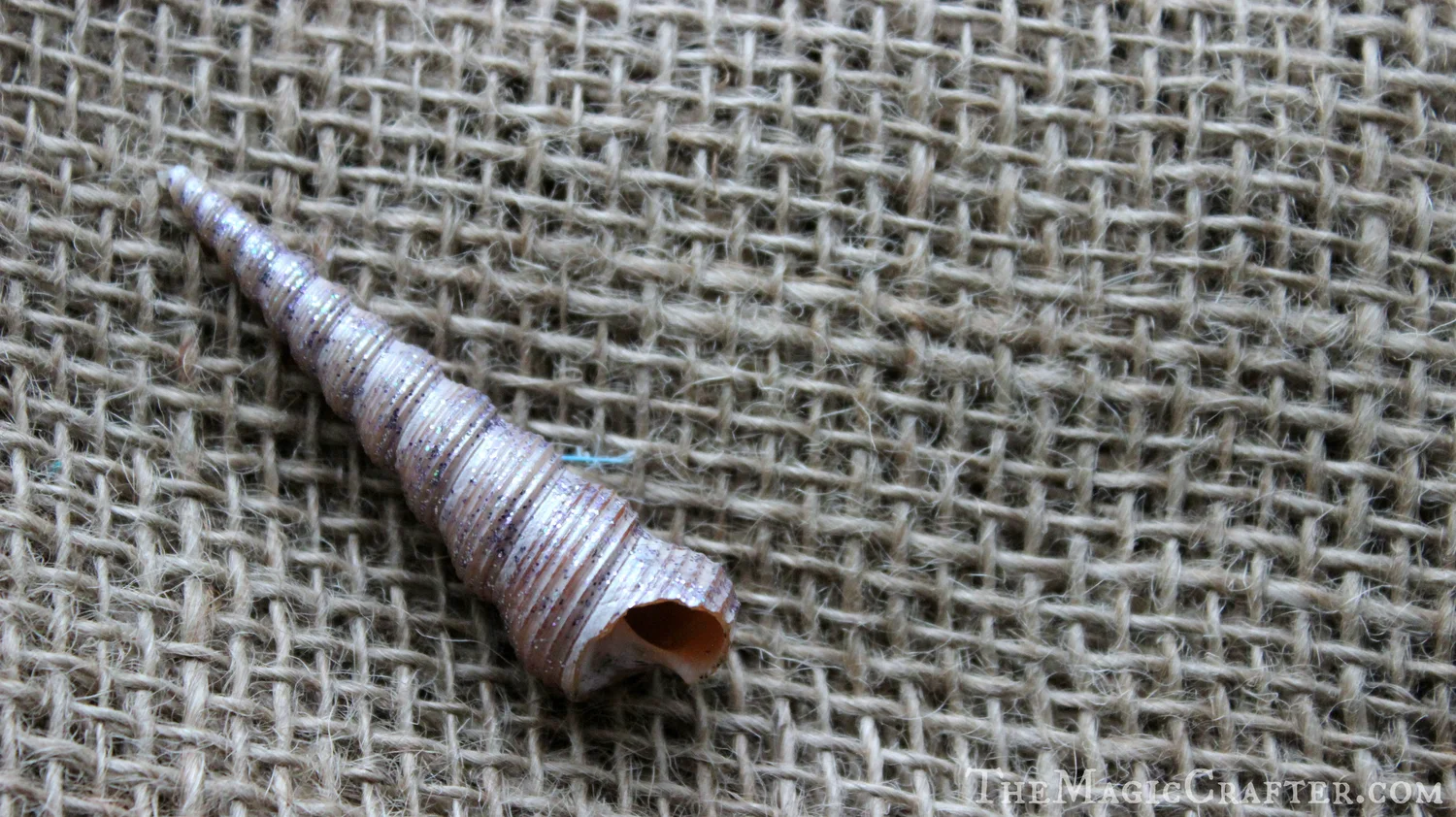 How to Paint Seashells - It's so easy!! — The Magic Crafter