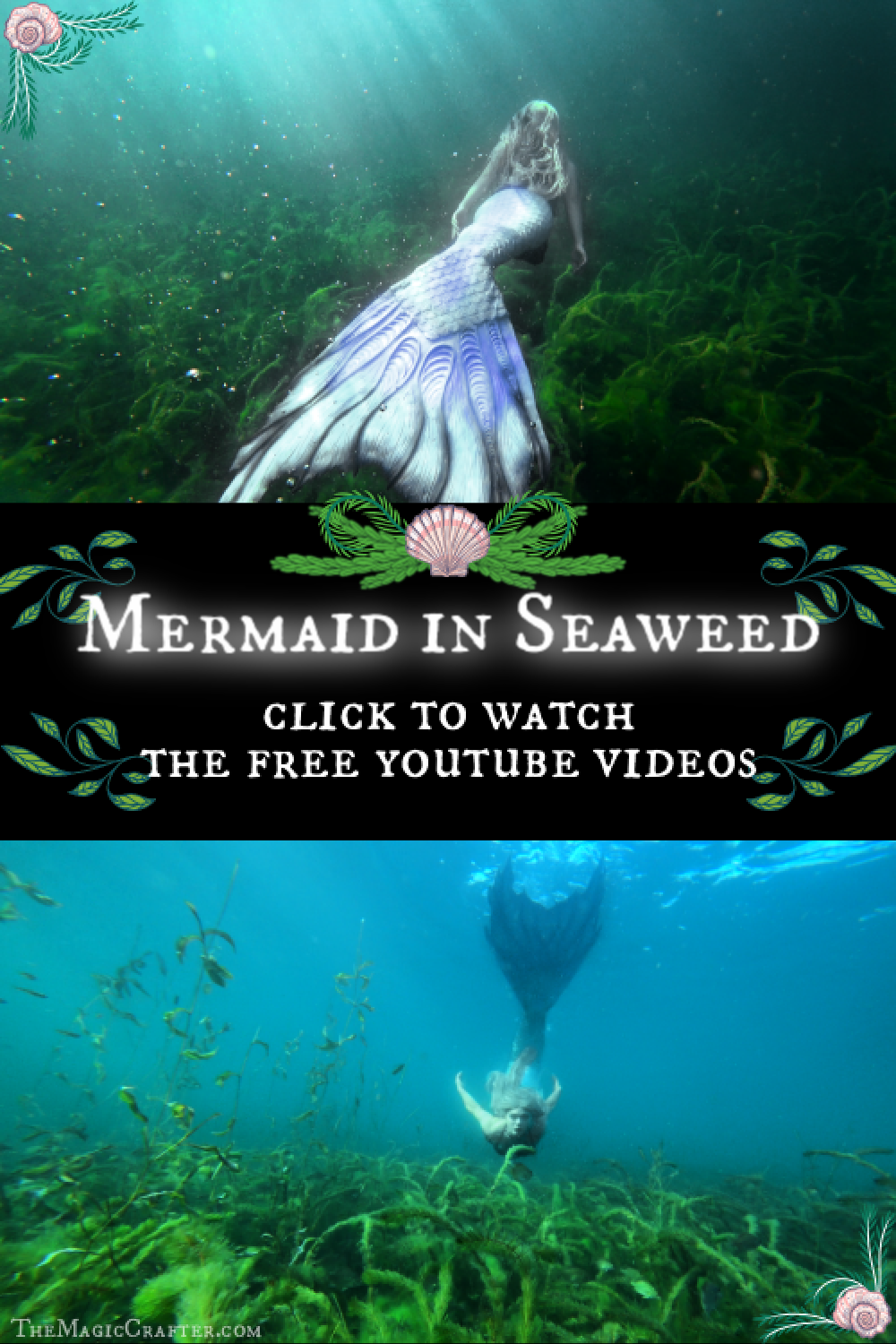 MERMAID SWIMMING IN SEAWEED WITH FISH - New 4K Underwater Video of ...