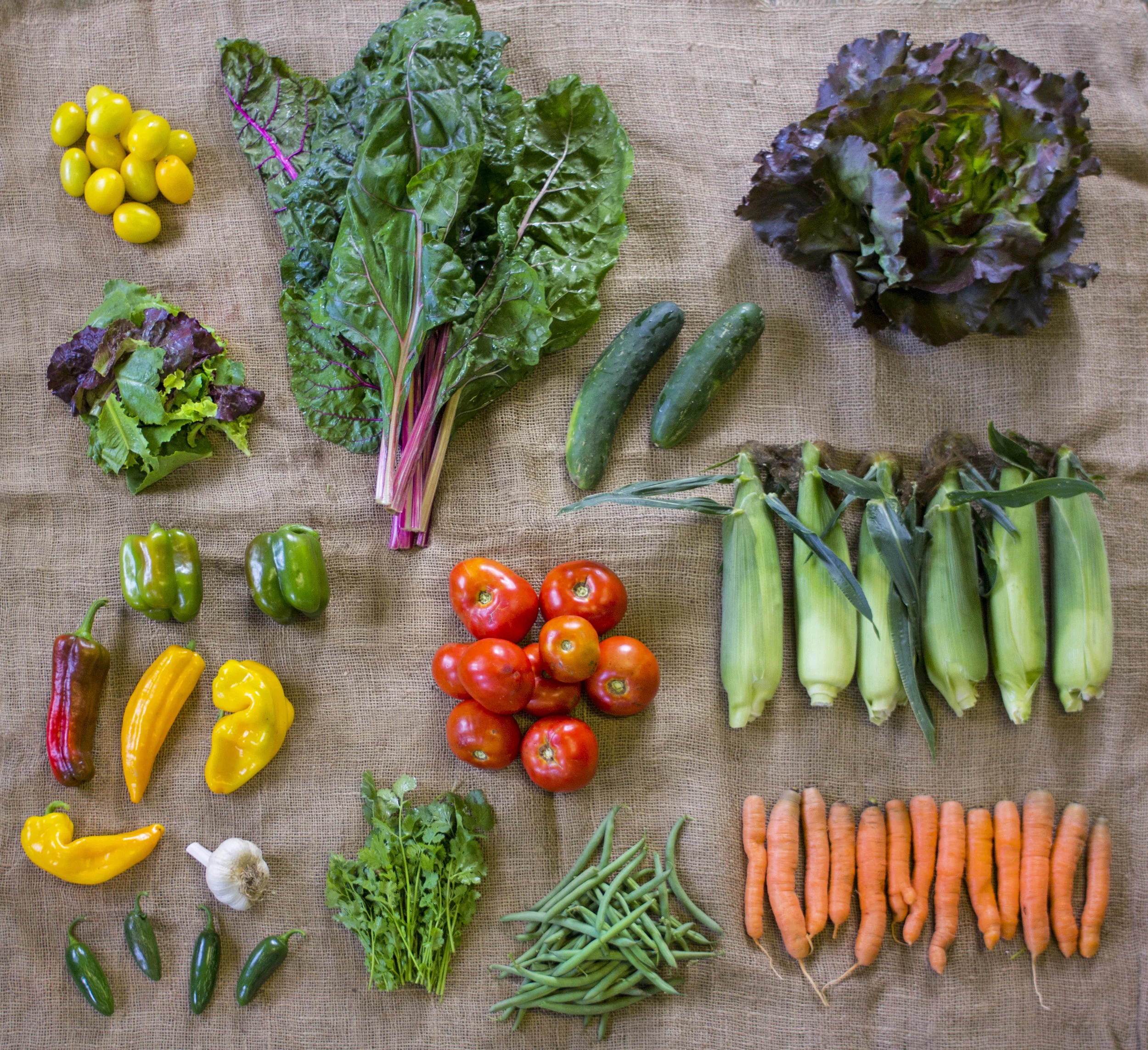 CSA SHARES — Roxbury Farm CSA