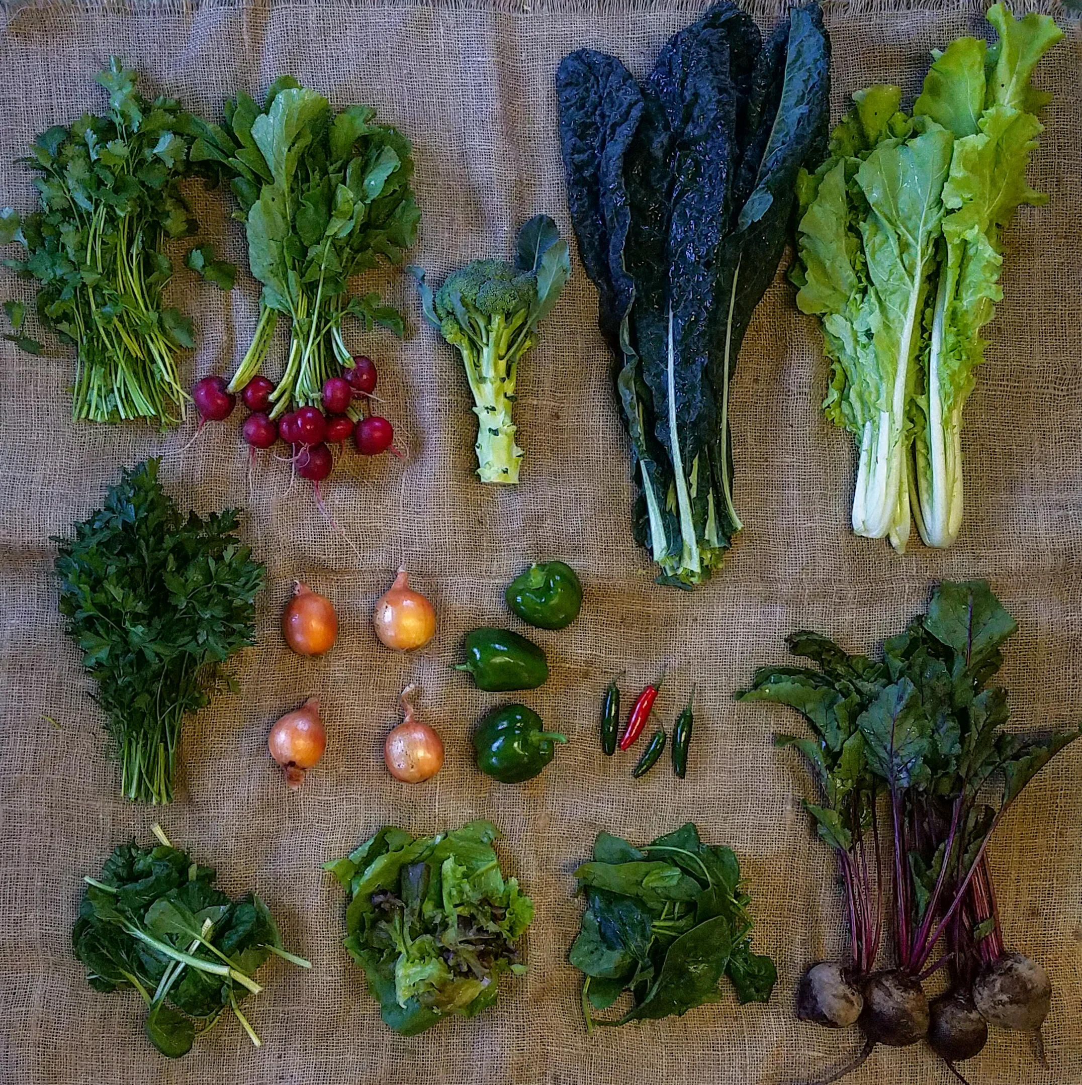 CSA SHARES — Roxbury Farm CSA