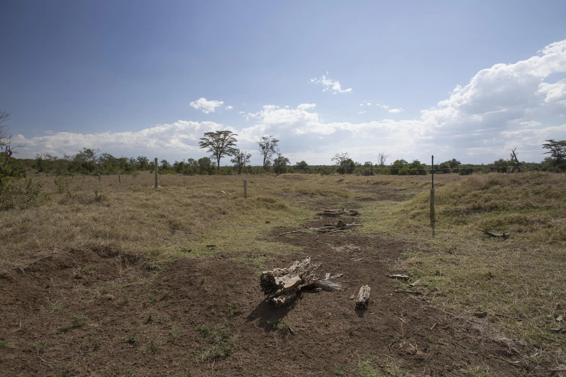 Planting Trees for the Native Future — Adventure Travel Conservation Fund