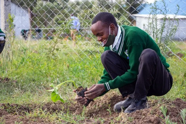 Black People Planting Trees