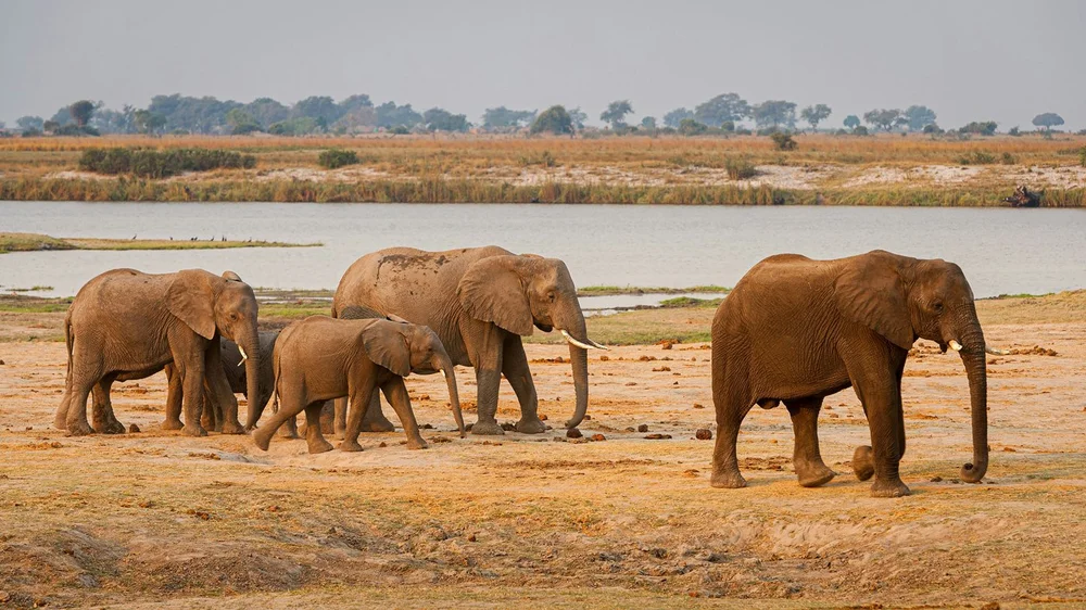 Conservation Projects in Africa — Adventure Travel Conservation Fund