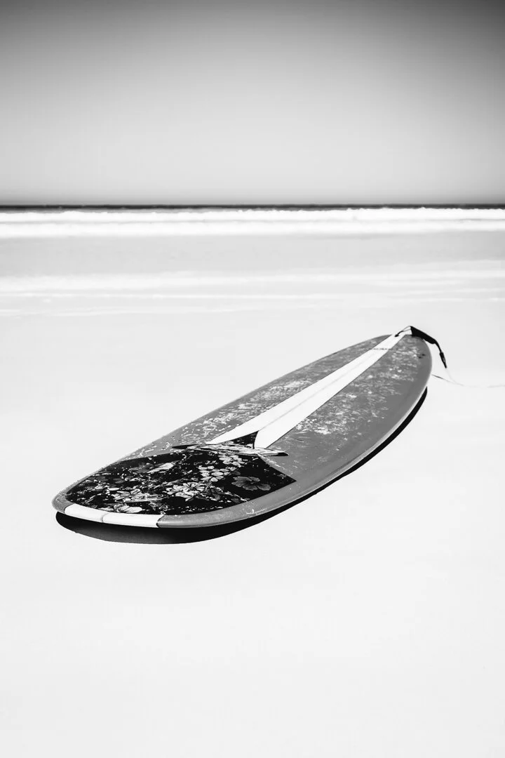 surfboard in black and white (vertical) — denise rix