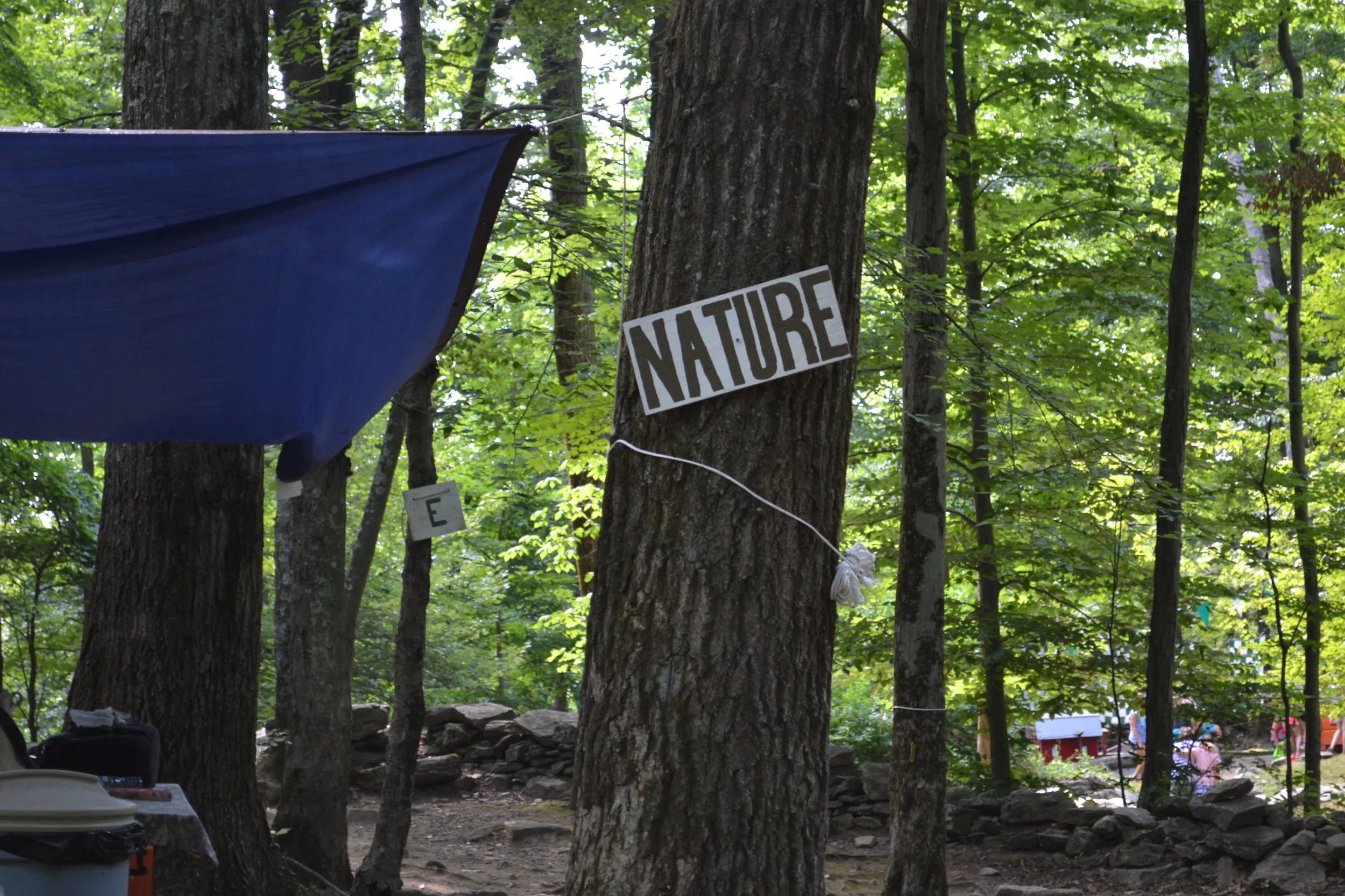 Adventure - Long Ridge Camp - Sports | Arts | Swimming | Adventure ...