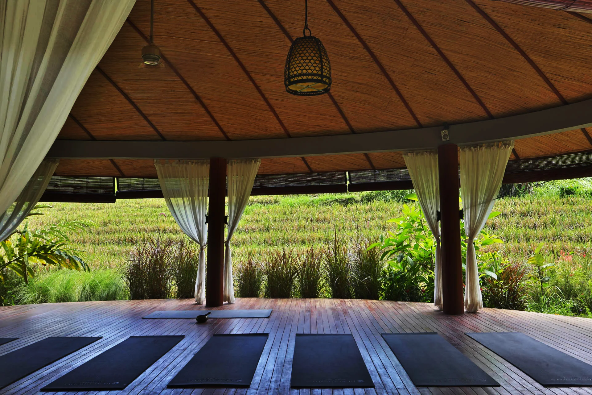 De Moksha Eco Friendly