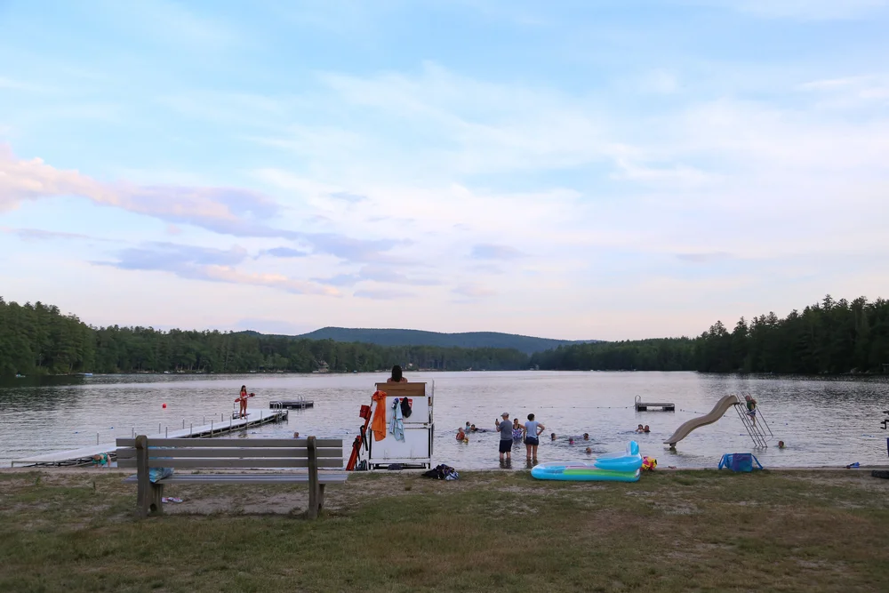 Pilgrim Pines