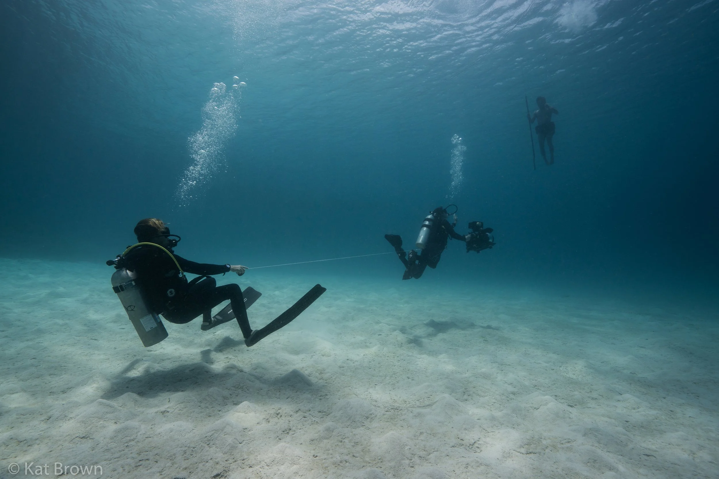 Blog — Mark Sharman Cameraman