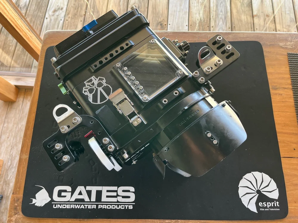 Gates Deep RED Komodo — Mark Sharman Cameraman