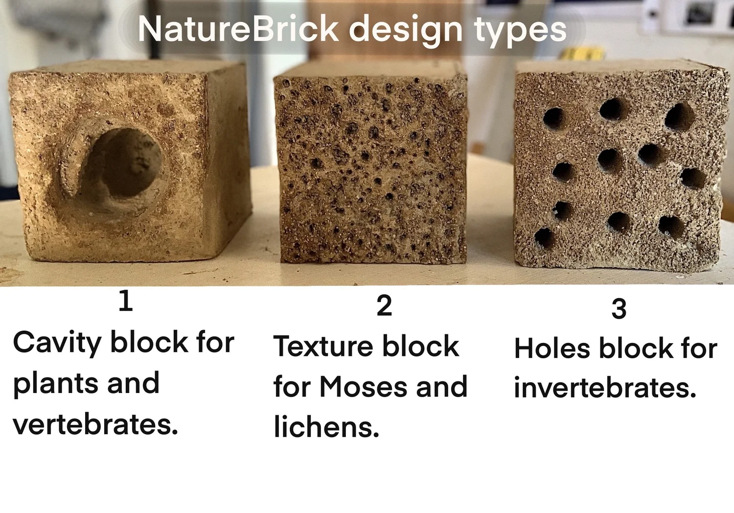 NatureBricks — Artecology