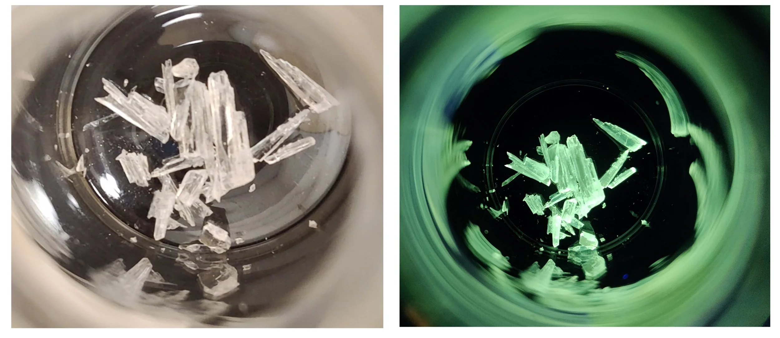 Photos — Saparov Lab