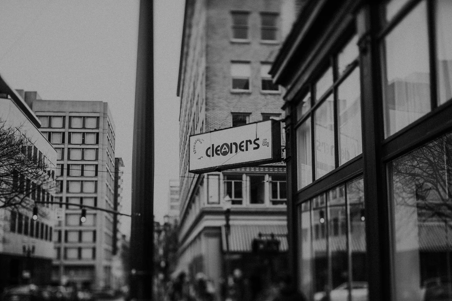 Downtown Portland wedding with Llamas. — Anna Caitlin Photography