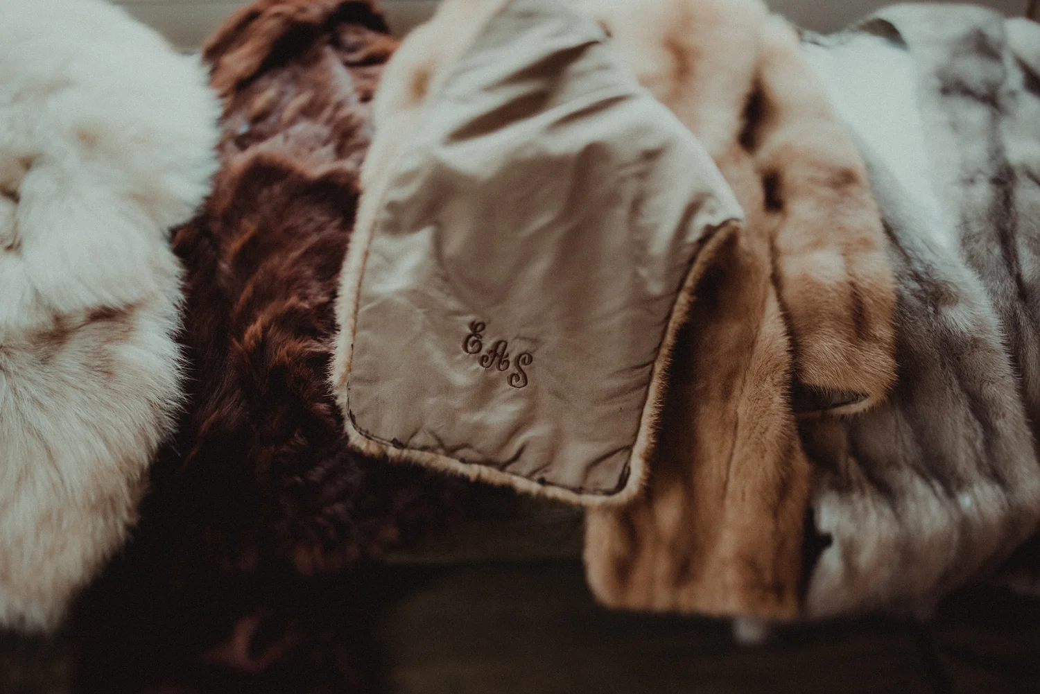 Downtown Portland wedding with Llamas. — Anna Caitlin Photography