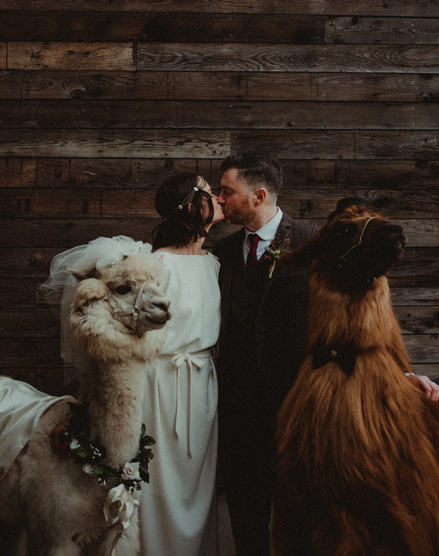 WEDDINGS — Anna Caitlin Photography