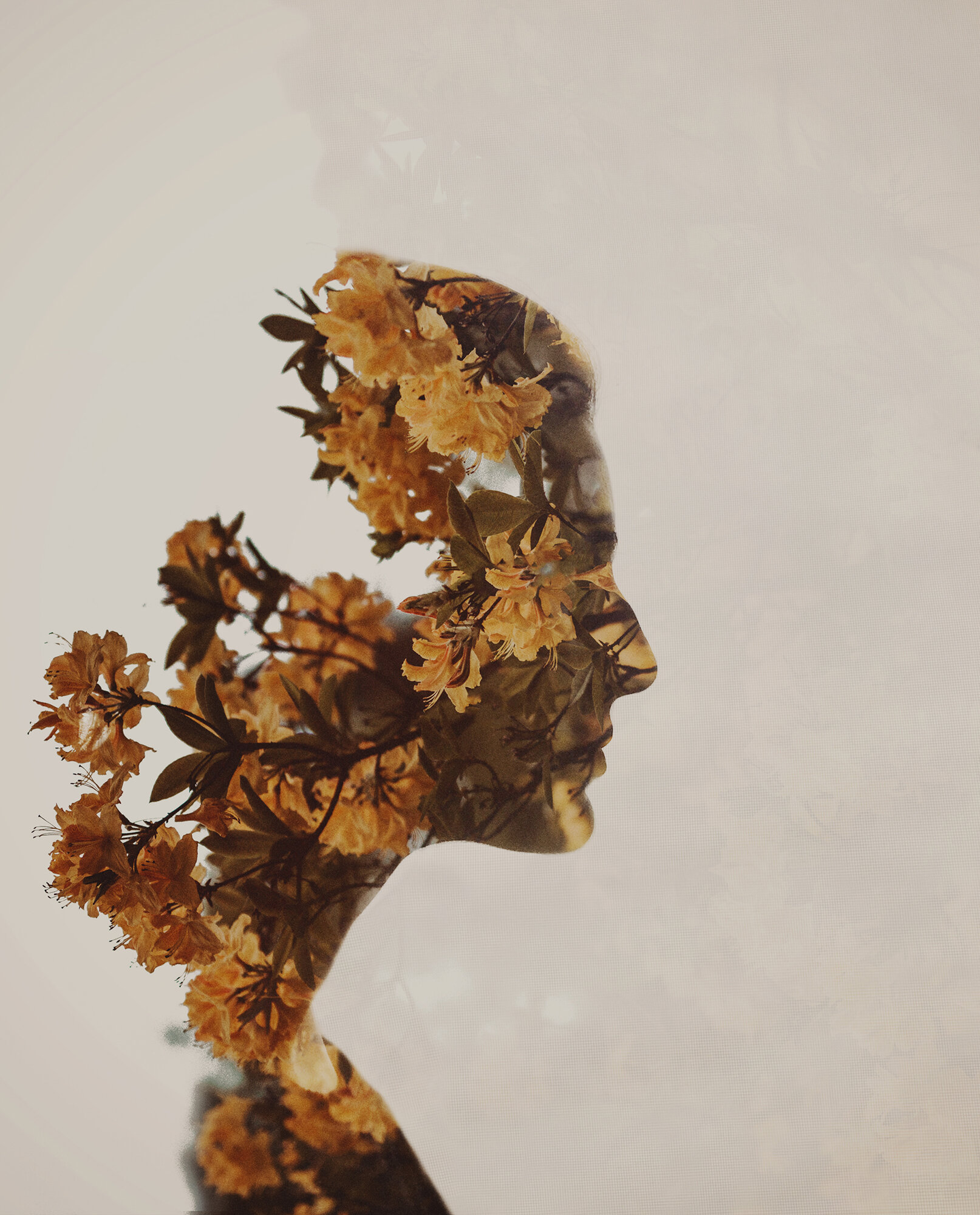 THE ULTIMATE DOUBLE EXPOSURE GUIDE — Anna Caitlin Photography
