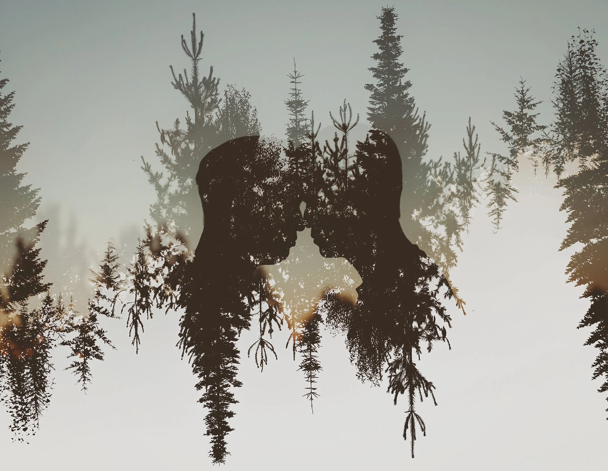 THE ULTIMATE DOUBLE EXPOSURE GUIDE — Anna Caitlin Photography