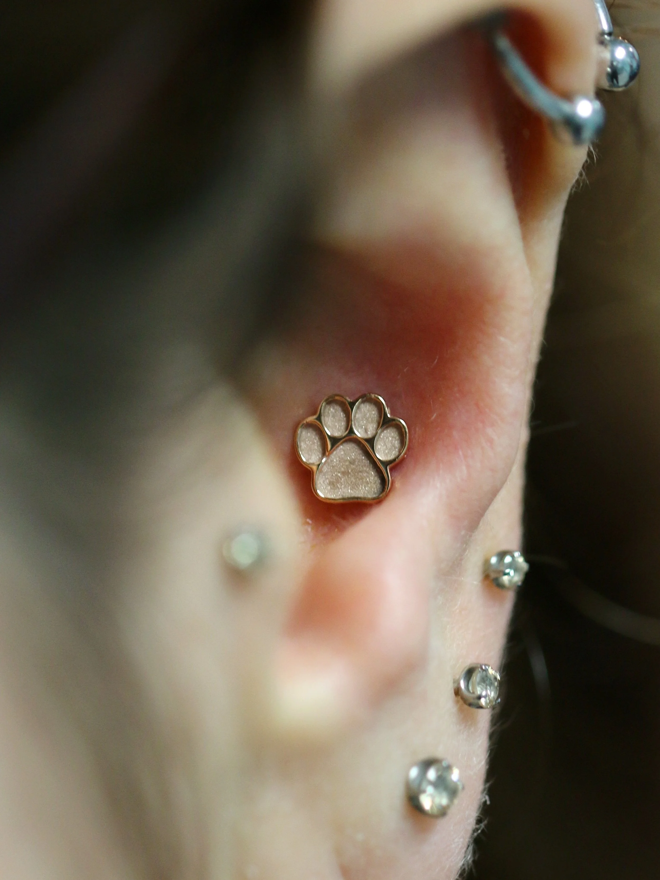 Jen — Brilliance Piercing