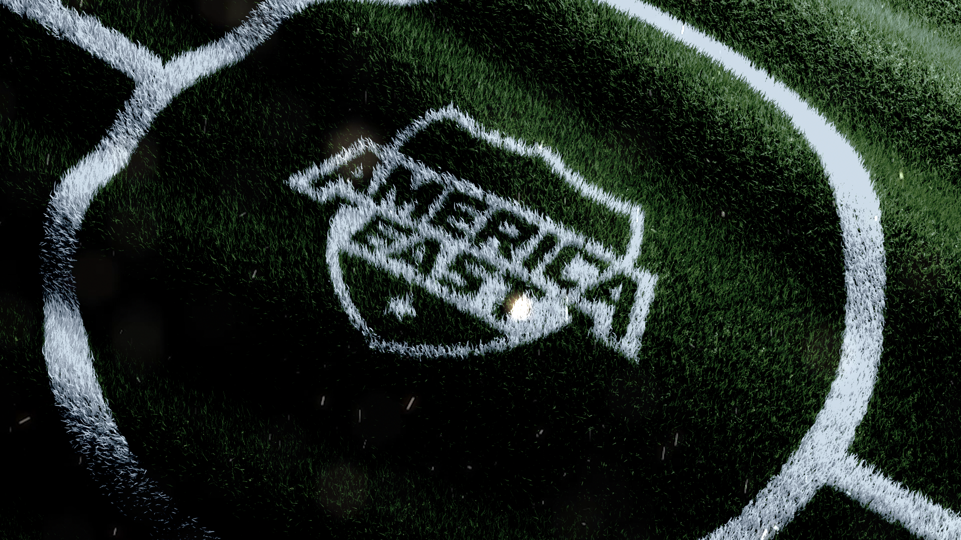 America East Rebrand — David Rickles Creative