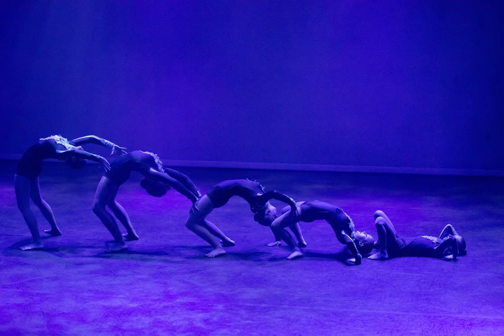 Tricks and Tumbles — BKD Performers