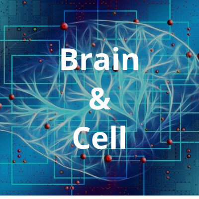 GrantFinder — Inside Philanthropy