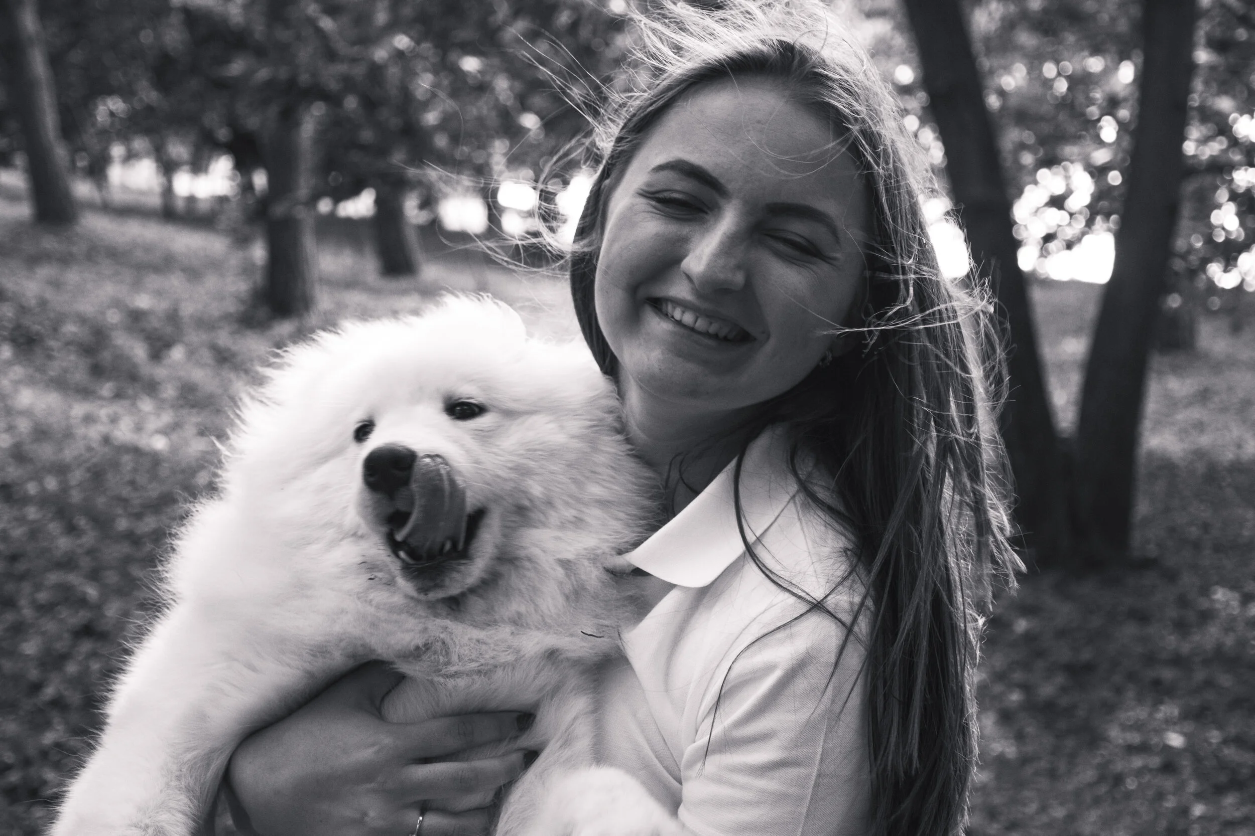 Communication is Key for Dog Groomers and Their Clients — Jodi Murphy ...