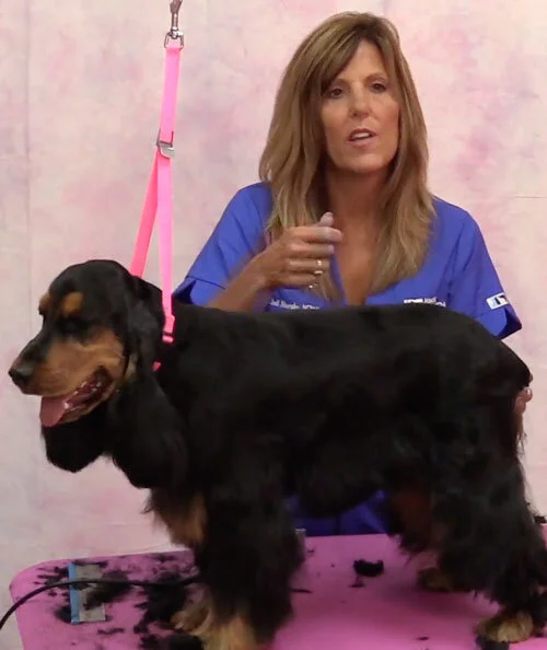 Communication is Key for Dog Groomers and Their Clients — Jodi Murphy ...