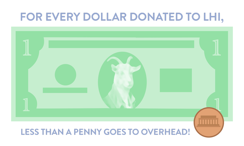 Lifting Hands International