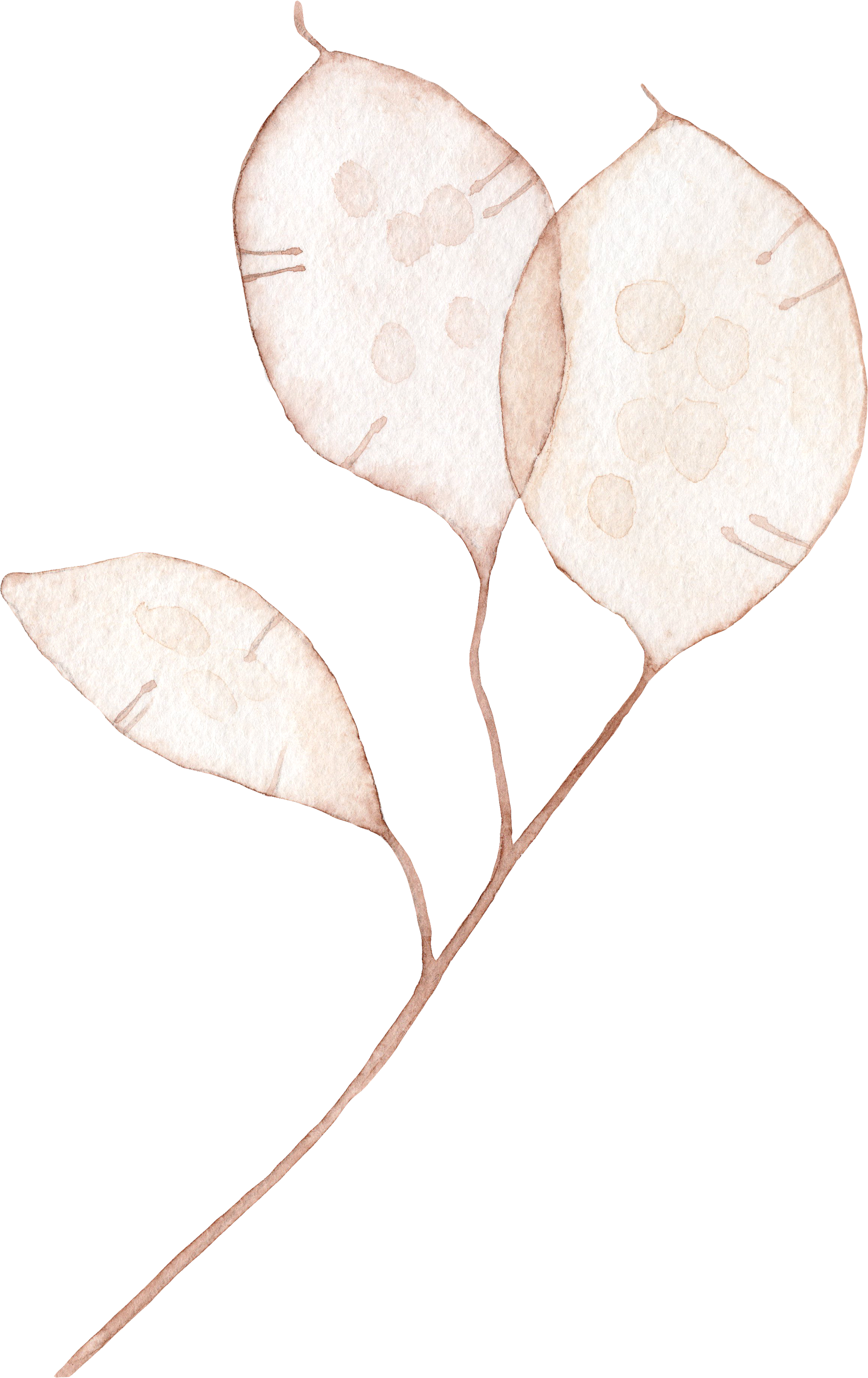 FREYIA | photographe famille mariage femme grossesse naissance Provence ...