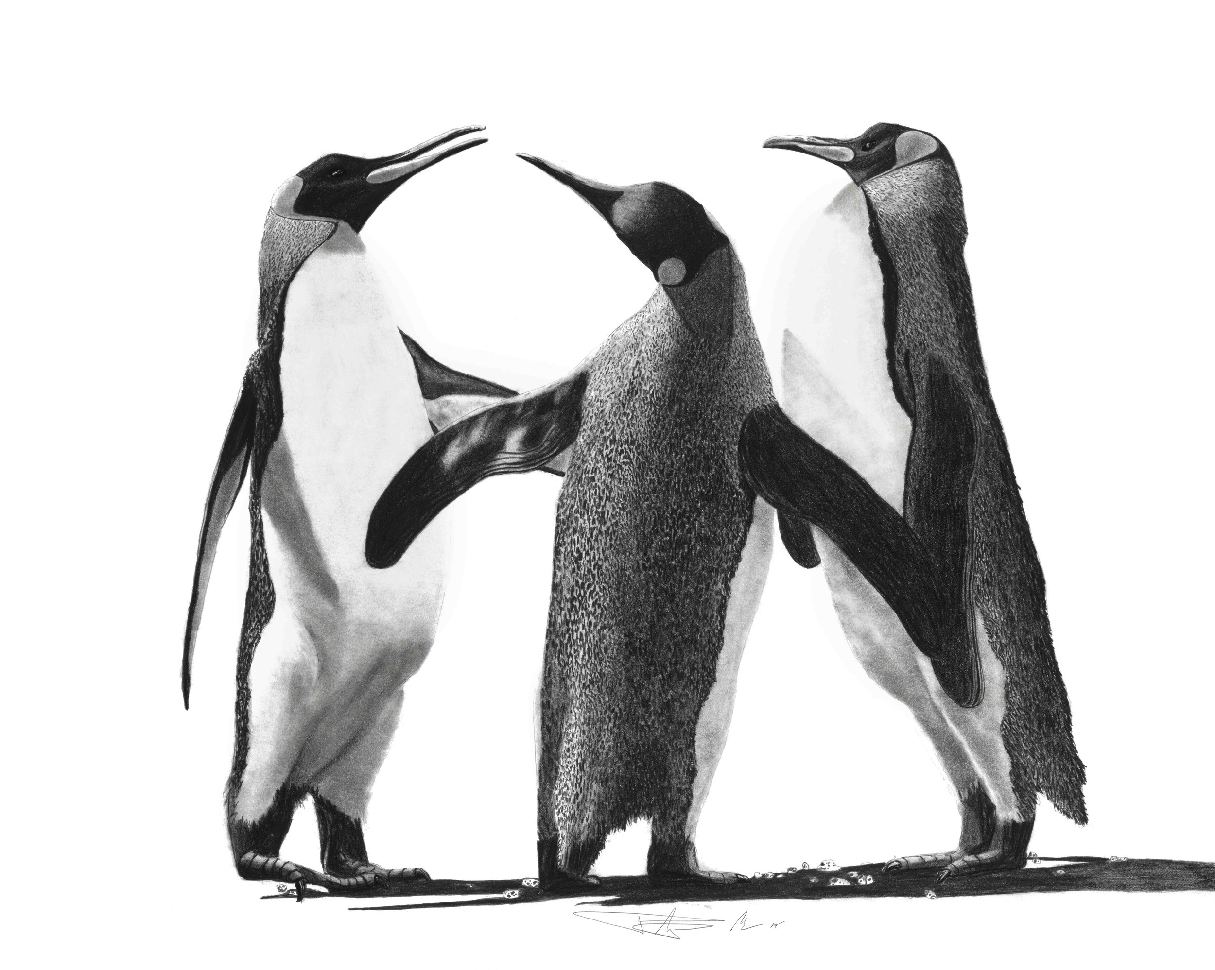 Three Penguins walk into an igloo... — Drawn 2 Draw