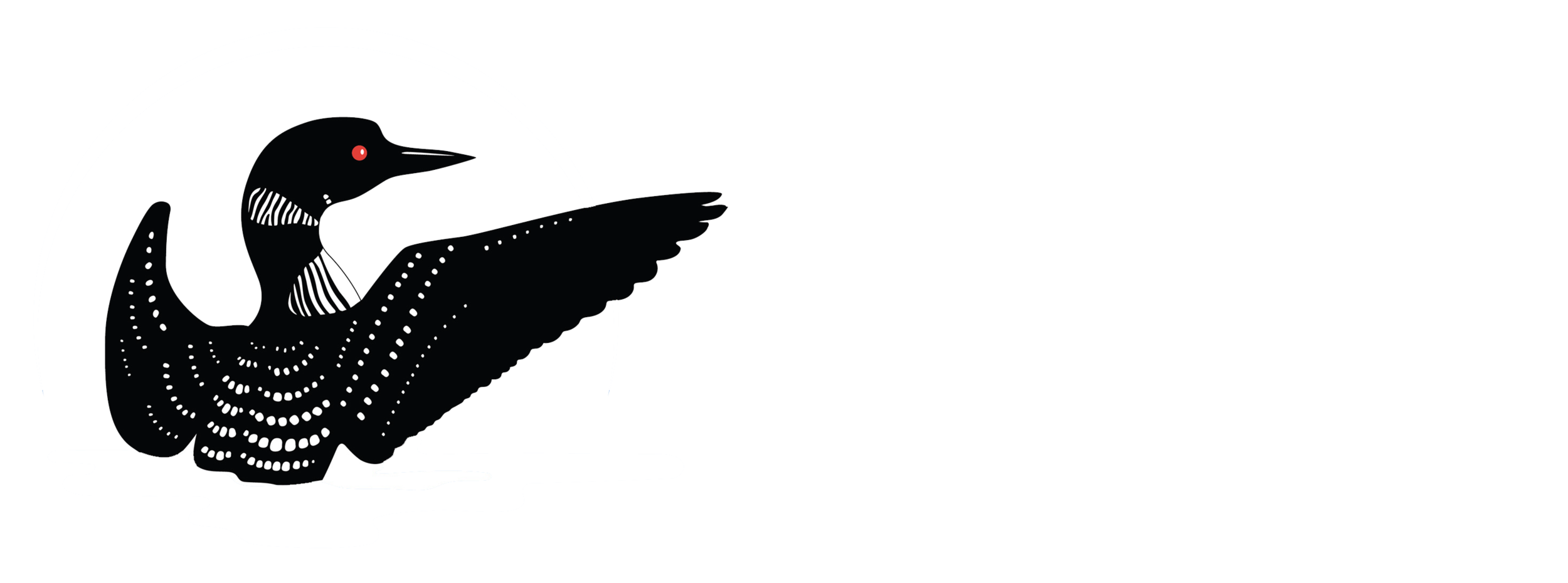 Adirondack Center for Loon Conservation