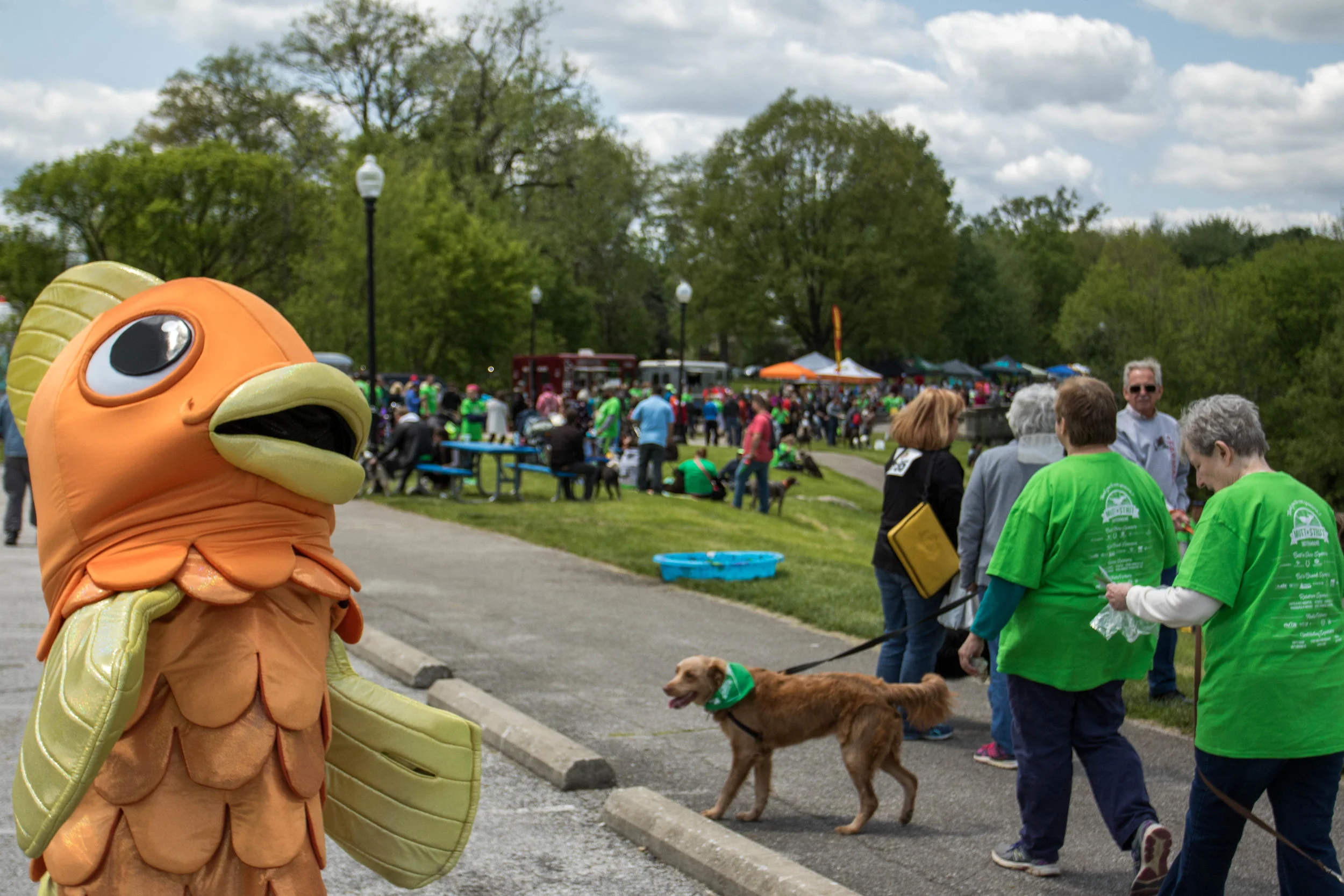History — Garfield Park Neighbors Association