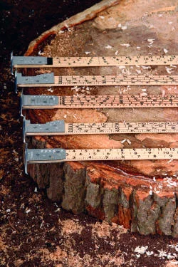 Lumber Rules — Conway Cleveland Corporation