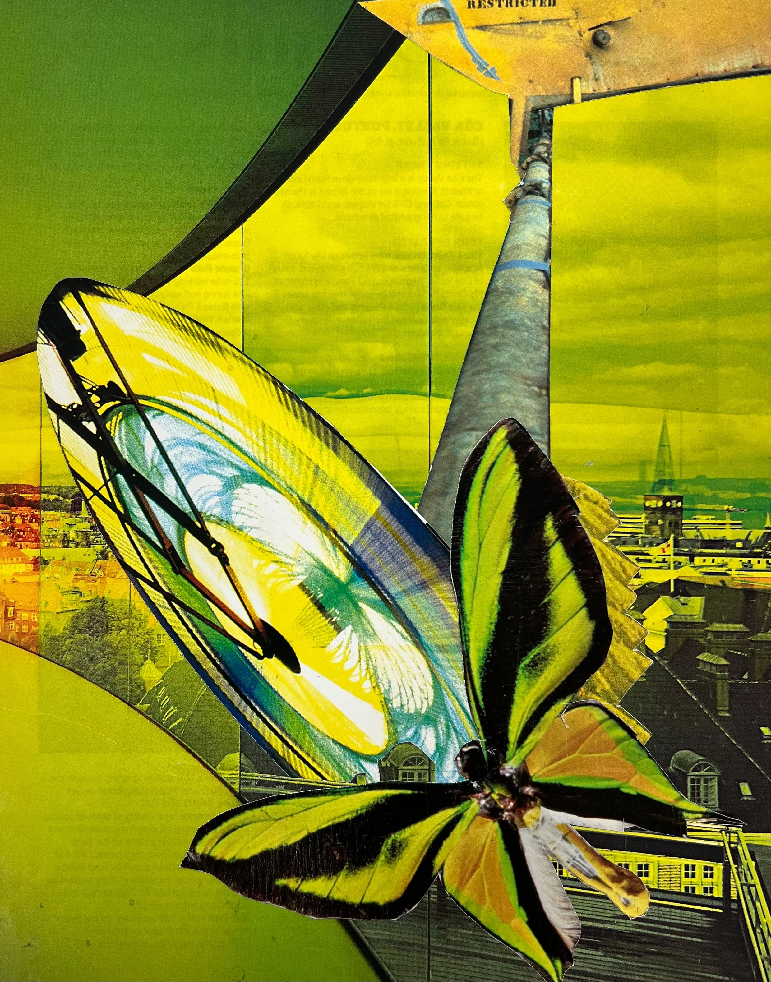 Amy Putman Collage Art