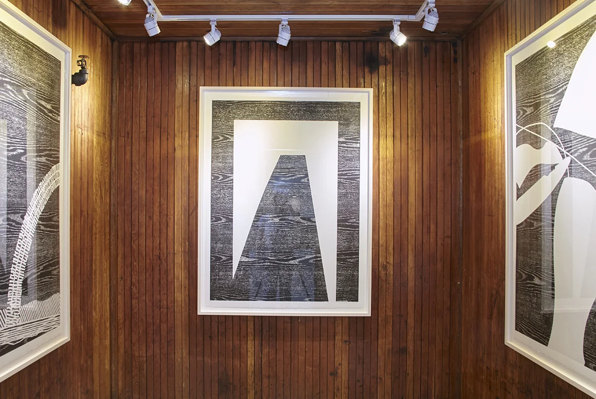 Fitzhugh Karol & Evan Bellantone — Cooler Gallery