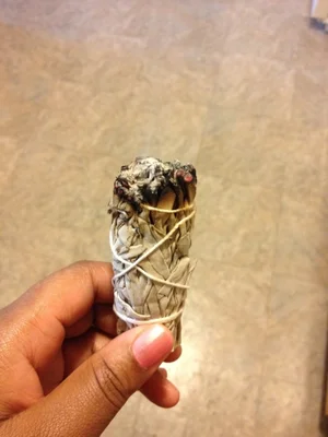 How To Sage (Smudge) Your Home, Office, And Yourself — Spirit & Muse