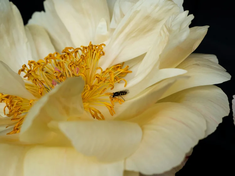Do Your Beliefs Match Your Vision? Here's How You Can Tell — Spirit & Muse