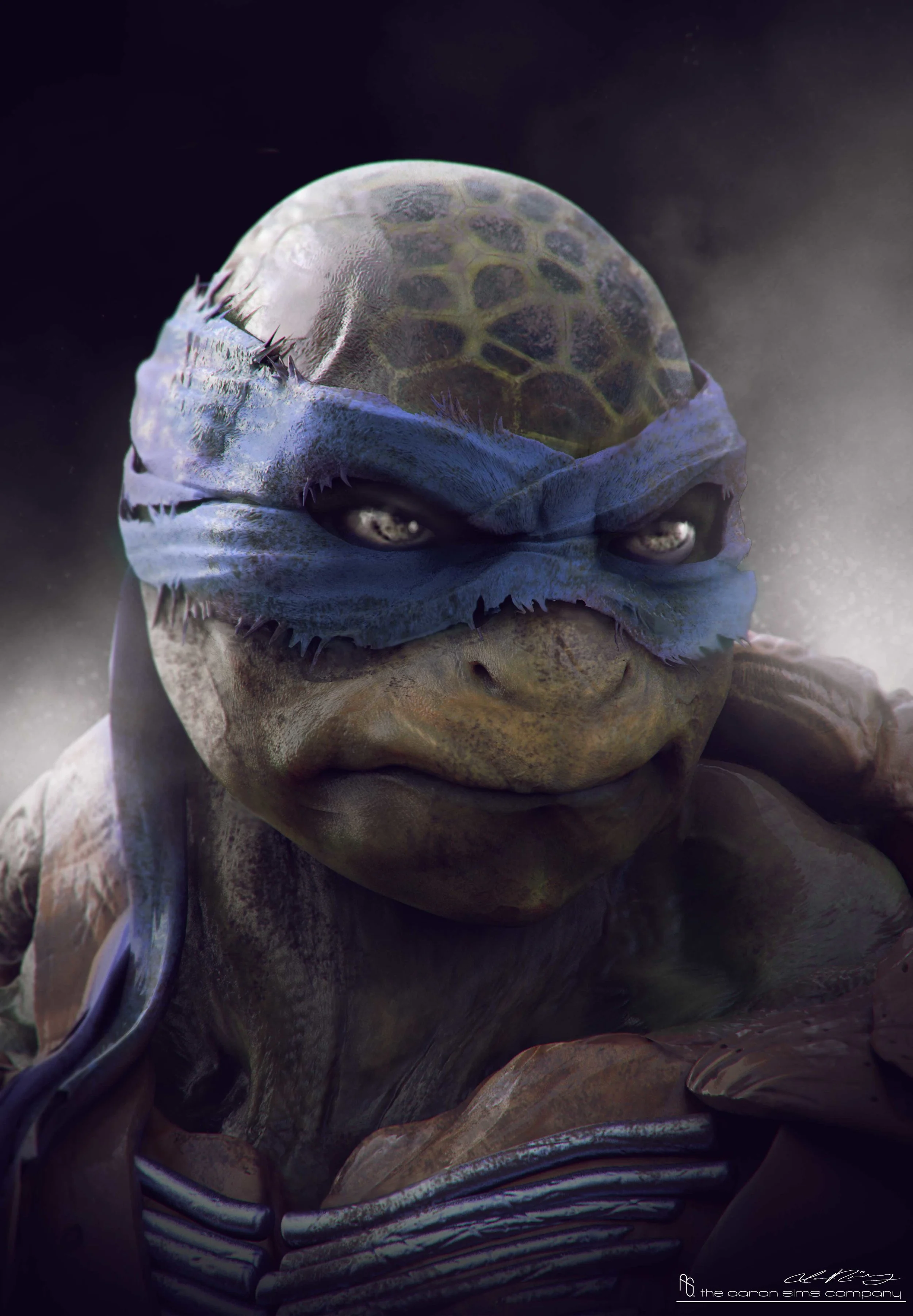 Teenage Mutant Ninja Turtles (2014) — Art of Jared Krichevsky