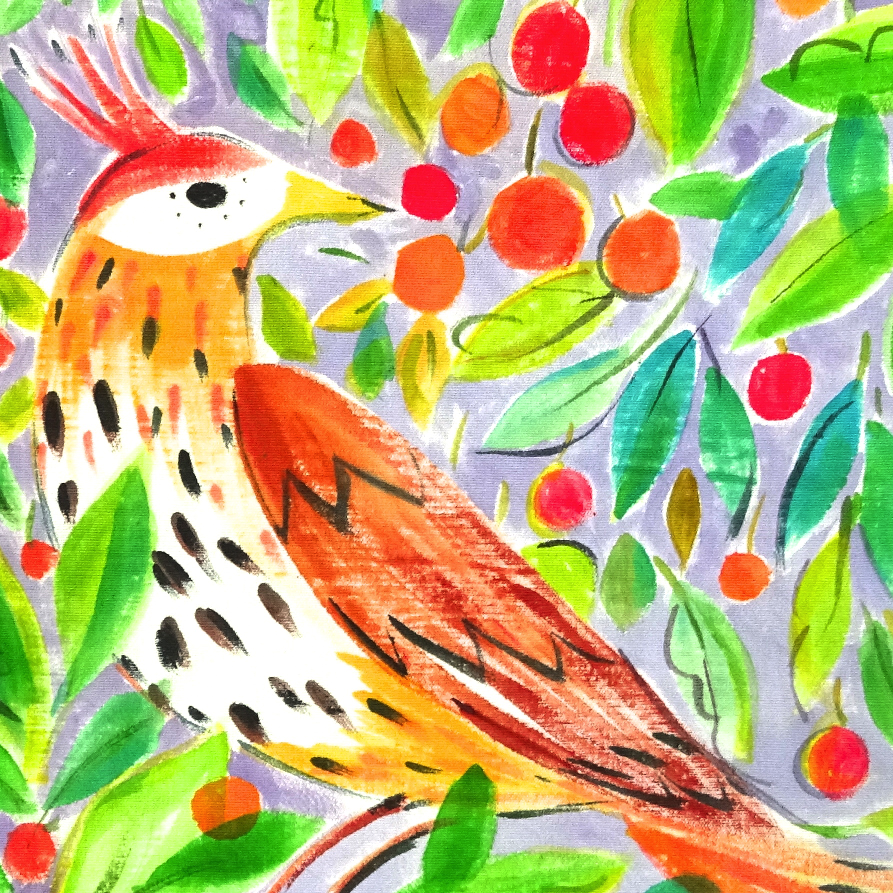 sarah campbell designs