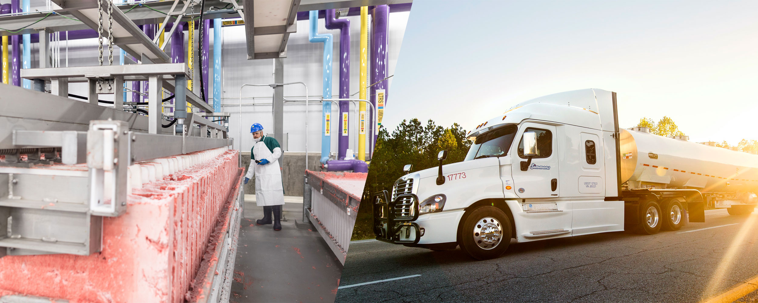 Simmons Animal Nutrition